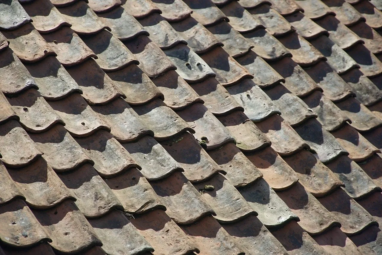 Why Roof Inspections Are a Must for DFW Homes - Gotcha Covered Contracting